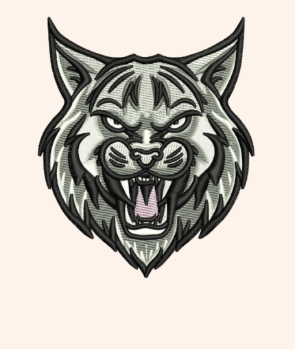 Pro Embroidery Digitizing - Your Designs, Our Precision